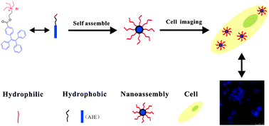 Aggregation induced emission amphiphile with an ultra low critical ...
