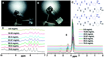 Low molecular weight gels induced differentiation of mesenchymal stem ...