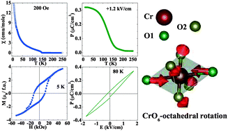 Atypical multiferroicity of HoCrO3 in bulk and film geometry - Journal ...