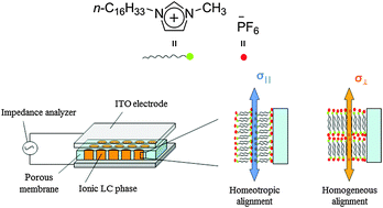 Ion conductive properties in ionic liquid crystalline phases confined ...