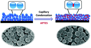 Robust anti-reflective silica nanocoatings: abrasion resistance ...