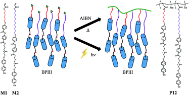The first blue phase reactive monomers containing a bi-mesogenic core ...