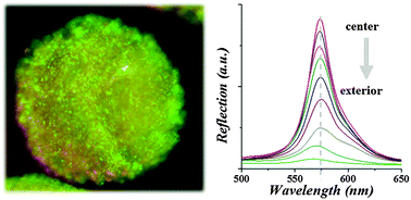 Non-iridescent structural color pigments from liquid marbles - Journal ...