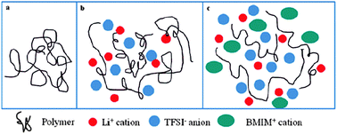 Development of ion conducting polymer gel electrolyte membranes based ...