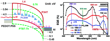 Highly sensitive polymer photodetectors with a broad spectral response ...