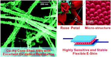 Cu–Ag core–shell nanowires for electronic skin with a petal molded ...