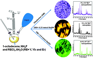 Synthesis, luminescence properties, and growth mechanisms of YF3:Yb3 ...