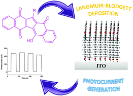 KuQuinones: a new class of quinoid compounds as photoactive species on ...