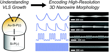Understanding the vapor–liquid–solid mechanism of Si nanowire growth and doping to synthetically ...