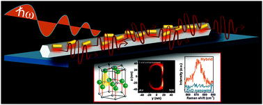 Non-resonant Raman spectroscopy of individual ZnO nanowires via Au ...