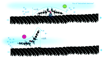 Interrupting the flux of delocalized electrons on a dibenzo-18-crown-6 ...