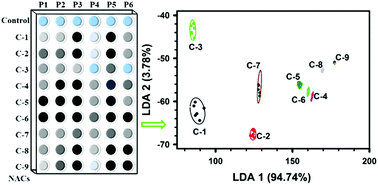 Fluorescence array-based sensing of nitroaromatics using conjugated ...