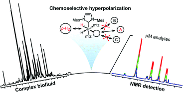 NMR detection in biofluid extracts at sub-μM concentrations via para-H2 ...