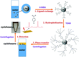 Ultra-sensitive determination of silver nanoparticles by surface ...