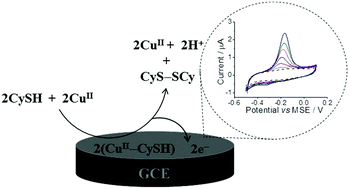Cysteine determination via adsorptive stripping voltammetry using a ...