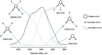 Depth profiles of hydrogen bound water molecule types and their ...