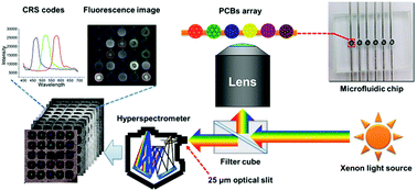Hyperspectral imaging analysis of a photonic crystal bead array for multiplex bioassays ...