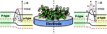 New insights into the electrochemical detection application of p–p ...