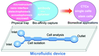 Microfluidic technologies in cell isolation and analysis for biomedical ...