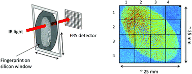Infrared spectroscopy and spectroscopic imaging in forensic science ...