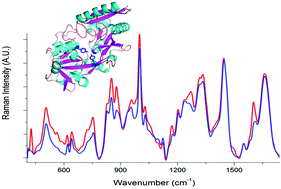 Detection of glycosylation and iron-binding protein modifications using ...