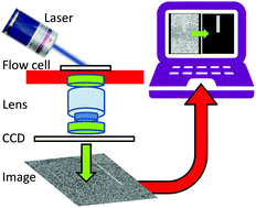 A computational streak mode cytometry biosensor for rare cell analysis ...