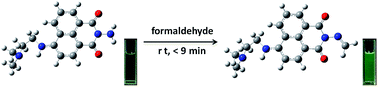 Development of a facile and sensitive fluorimetric derivatization ...