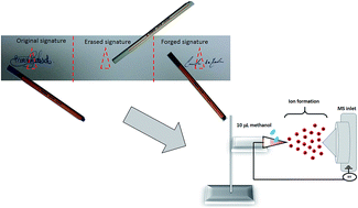 Detection of signature forgery with erasable pens using paper spray ...
