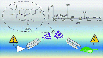 Rapid screening of agrochemicals by paper spray ionization and leaf ...