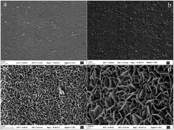 Gold nanoparticle modified NiTi composite nanosheet coating for ...