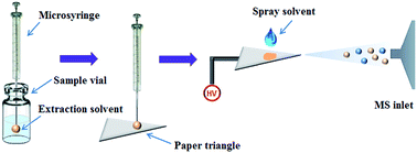 Coupling liquid-phase microextraction with paper spray for rapid ...