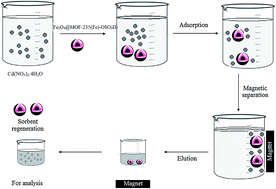 Sulfonated metal organic framework loaded on iron oxide nanoparticles ...