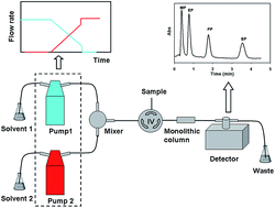 A new flow-injection chromatography method exploiting linear-gradient ...