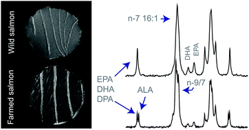 Analysis of wild and farmed salmon using 13C solid-state NMR and MRI ...