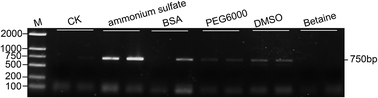 A universal method for direct PCR amplification of plant tissues ...
