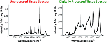 Improved protocols for pre-processing Raman spectra of formalin fixed ...