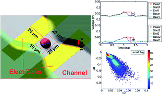 A sheath-less electric impedance micro-flow cytometry device for rapid ...