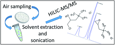 A hydrophilic interaction liquid chromatography–tandem mass ...