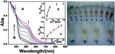 Colorimetric probe for copper(ii) ion detection based on cost-effective ...