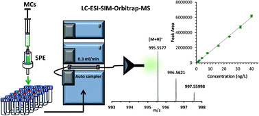 Improved solid-phase extraction protocol and sensitive quantification ...