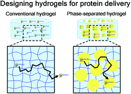 Emerging hydrogel designs for controlled protein delivery ...