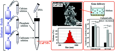 Calcium phosphate nanoparticles prepared from infusion fluids for stem ...