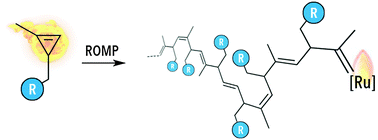 Ring-opening metathesis polymerization of 1,2-disubstituted ...