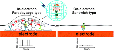 In-electrode vs. on-electrode: ultrasensitive Faraday cage-type ...