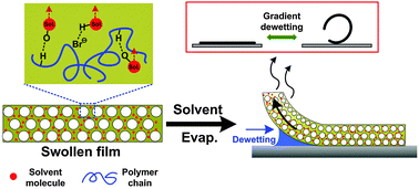 Single-material solvent-sensitive actuator from poly(ionic liquid ...