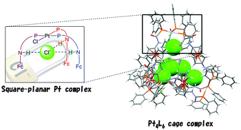 Tetrahedral cage complex with planar vertices: selective synthesis of ...