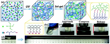 Silicone-based tough hydrogels with high resilience, fast self-recovery ...