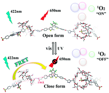 A highly efficient supramolecular photoswitch for singlet oxygen ...