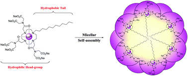 Cyclen lanthanide-based micellar structures for application as ...