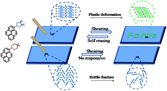 Pyrene boronic acid cyclic ester: a new fast self-recovering ...
